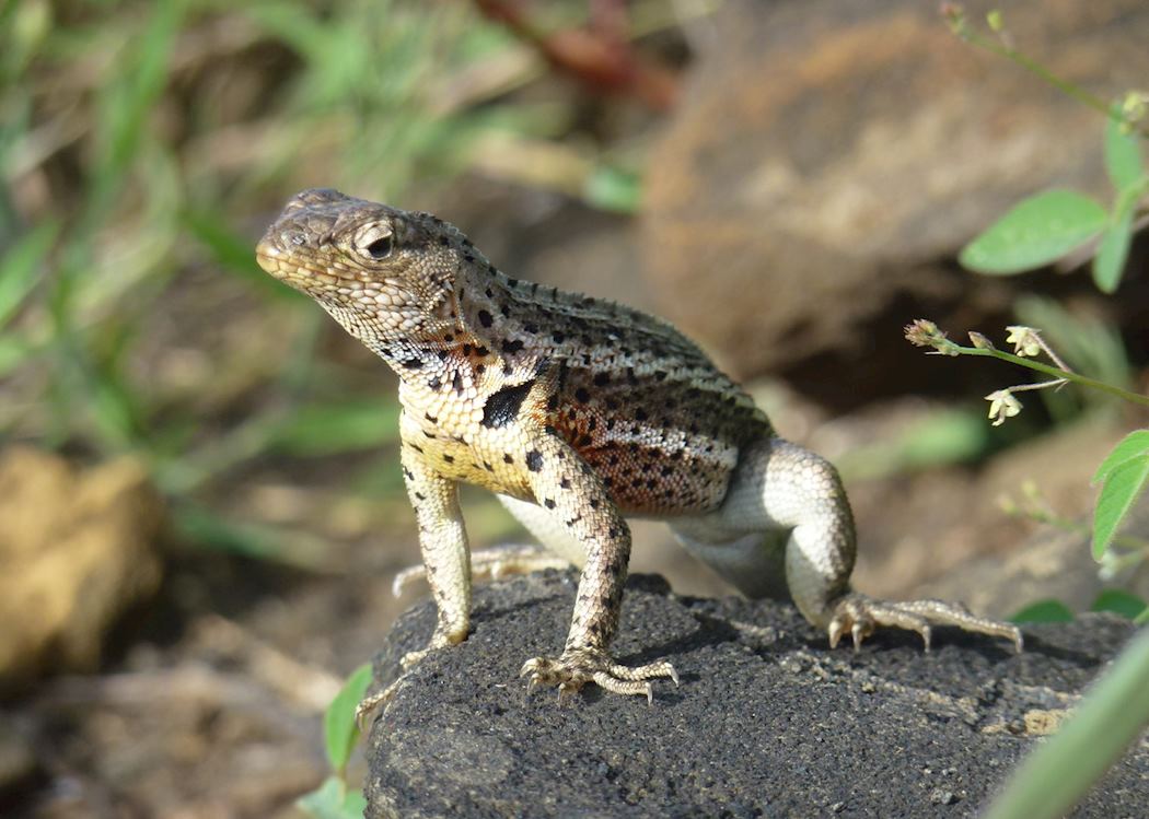 Caroline, South America Specialist | Audley Travel