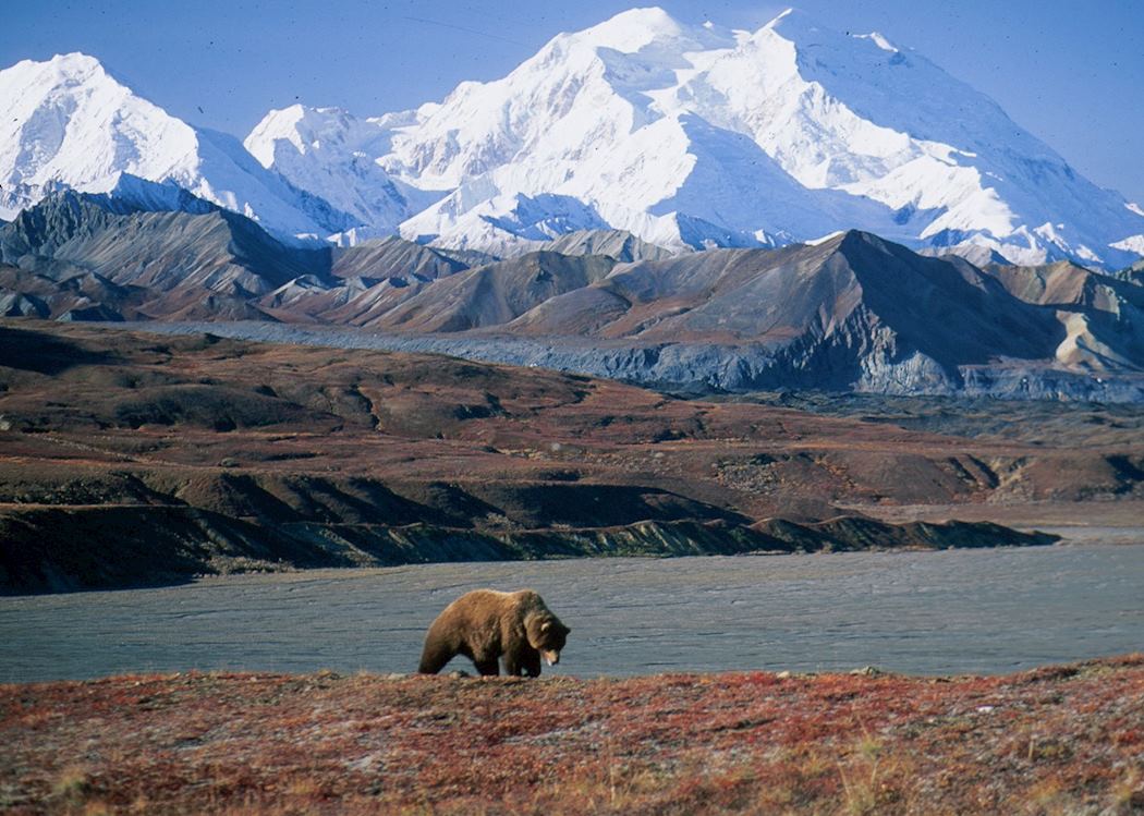 Visit Denali National Park On A Trip To Home Audley Travel UK Visit Denali National Park On A Trip To Home Audley Travel UK