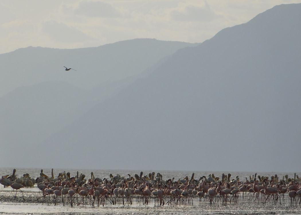 Visit Lake Eyasi on a trip to Tanzania | Audley Travel