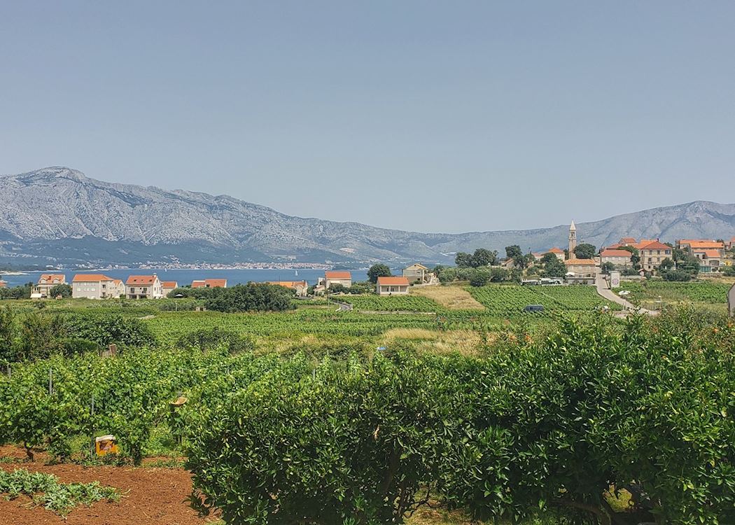 Tastes of Korčula tour | Audley Travel US