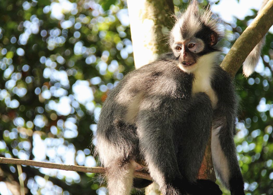 Grand tour of Indonesia | Audley Travel