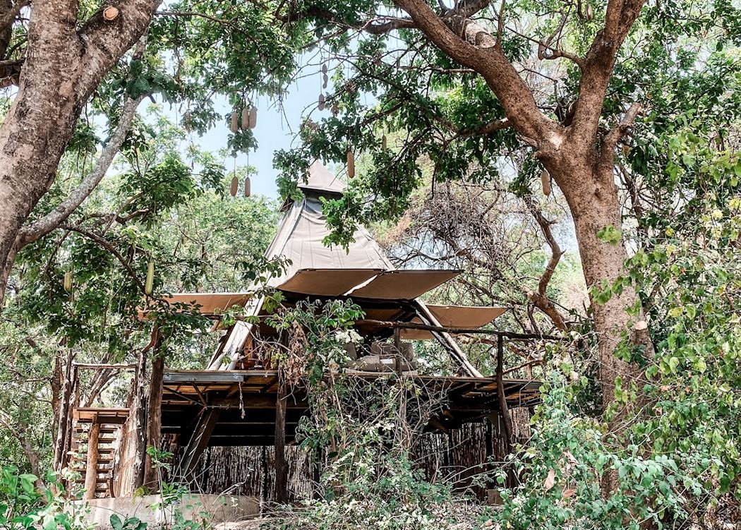 Shawa Luangwa Camp | Audley Travel US