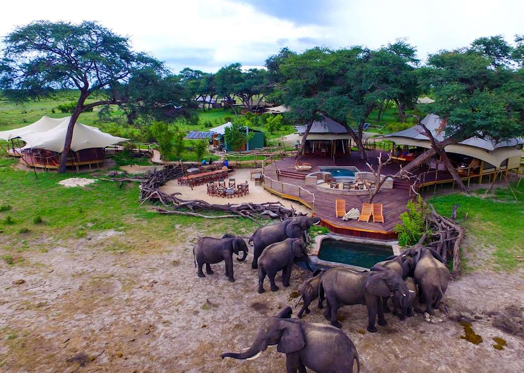 Somalisa Camp | Hotels in Hwange National Park | Audley Travel UK