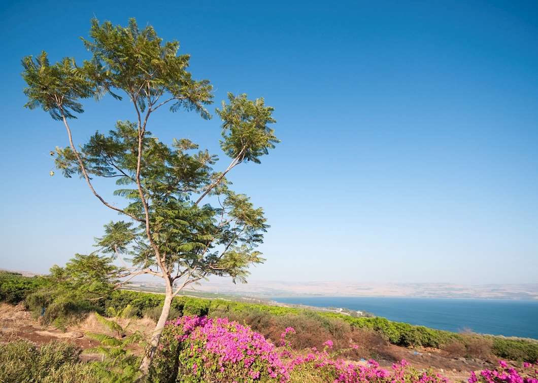 Visit Galilee on a trip to Israel | Audley Travel UK