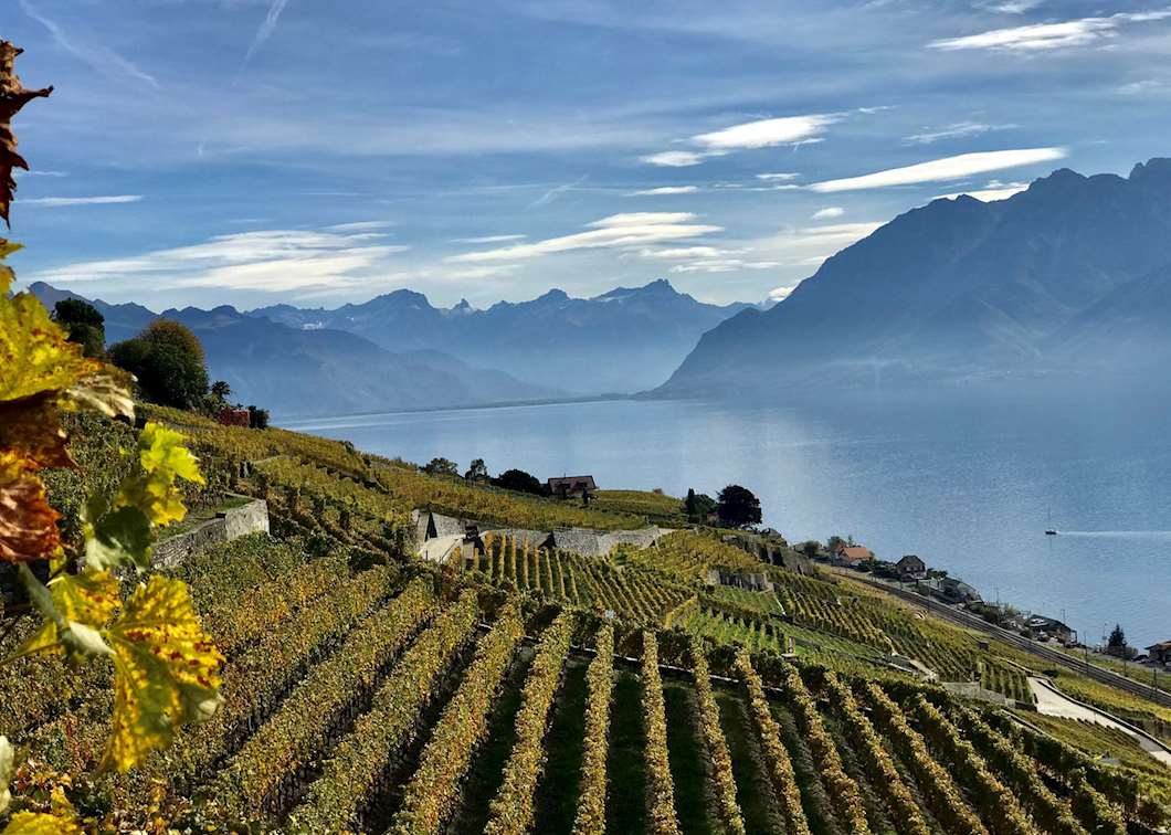 Lavaux wine tour | Audley Travel UK