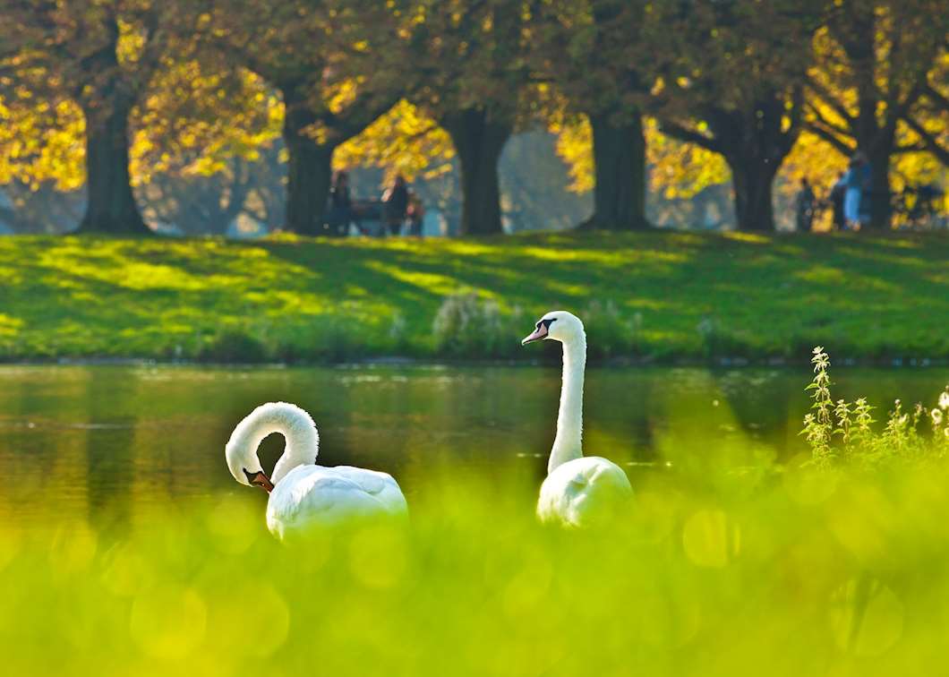 Visit Cologne on a trip to Germany Default Theme | Audley Travel US