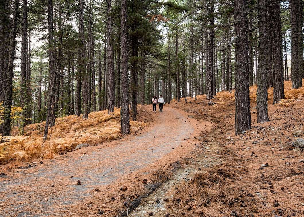 Hiking in the Troodos Mountains, Cyprus | Audley Travel UK