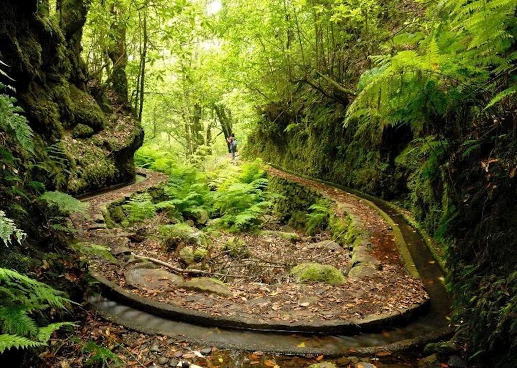 Hiking Madeira’s levadas pathways | Audley Travel US