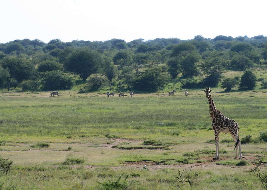 Visit Sosian Lodge, Kenya | Tailor-made Trips | Audley Travel UK