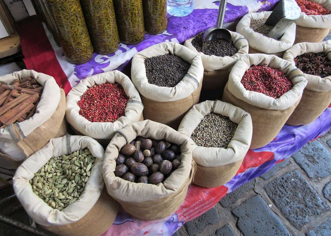 Indo-Mauritian cultural highlights tour | Audley Travel UK