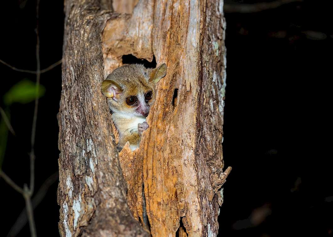Visit Eastern Madagascar | Tailor-made Vacations | Audley Travel US