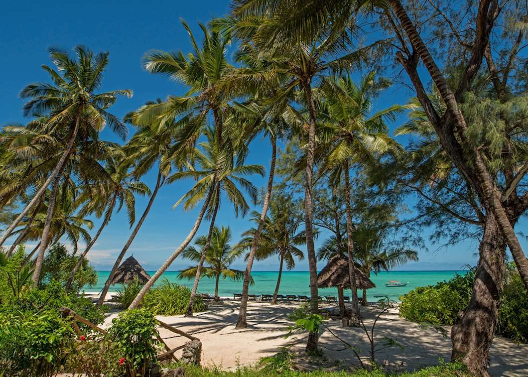 Pongwe Beach Hotel | Hotels in Zanzibar | Audley Travel US