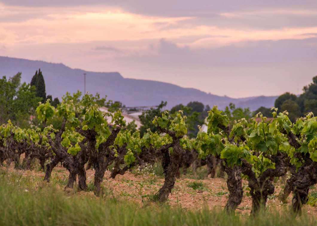 Visit Cava Wine Region, Spain | Tailor-Made Trips | Audley Travel UK