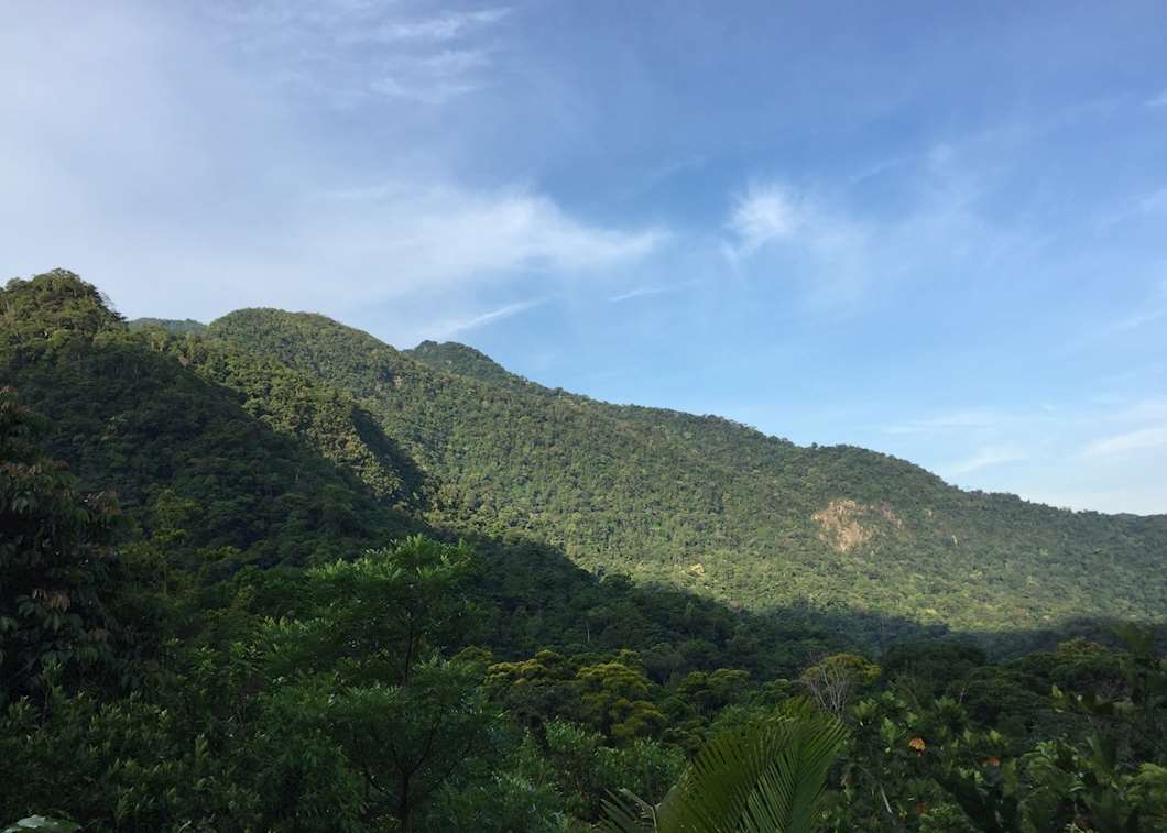Pico Bonito National Park, Honduras | Audley Travel UK