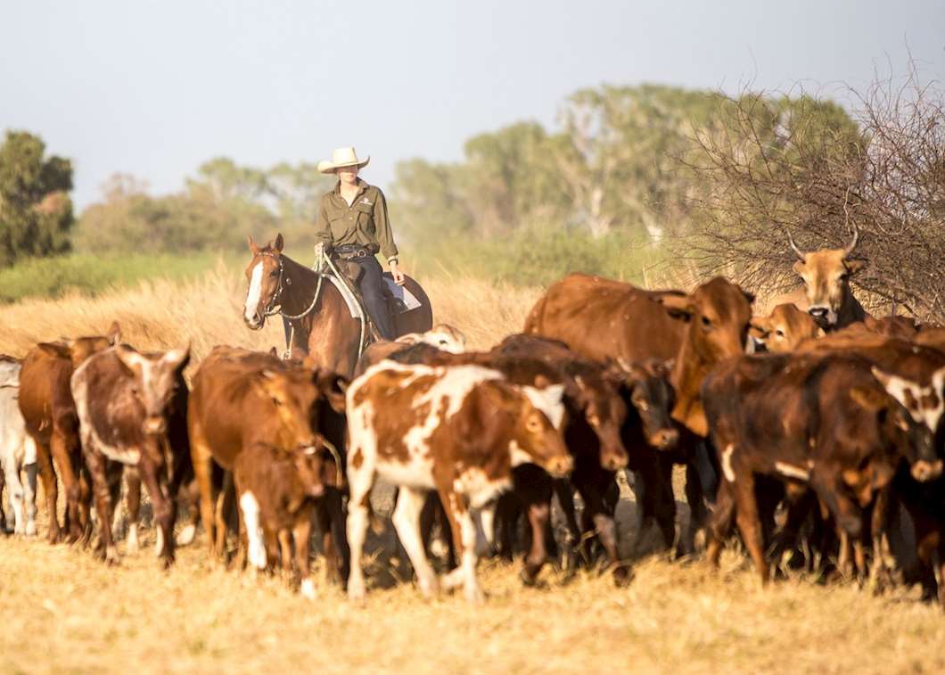 Visit Bullo River Station | Audley Travel UK