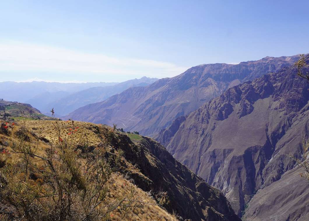 Visit Colca Canyon, Peru Default Theme | Audley Travel US