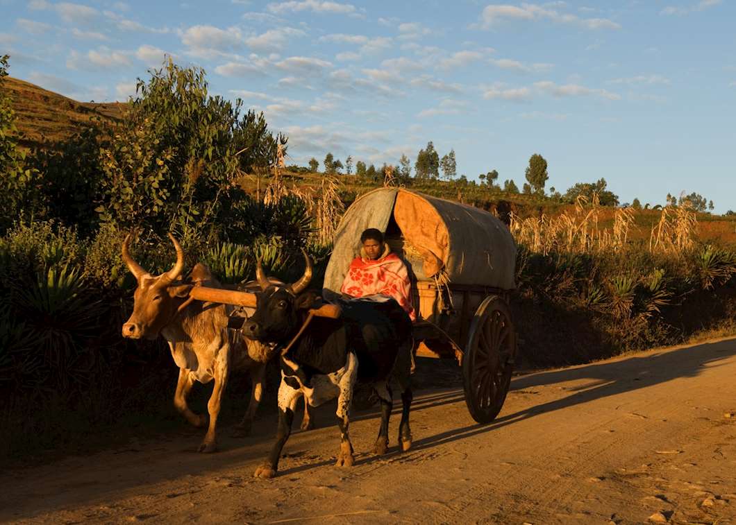 Visit Antsirabe, Madagascar | Tailor-made Trips | Audley Travel UK