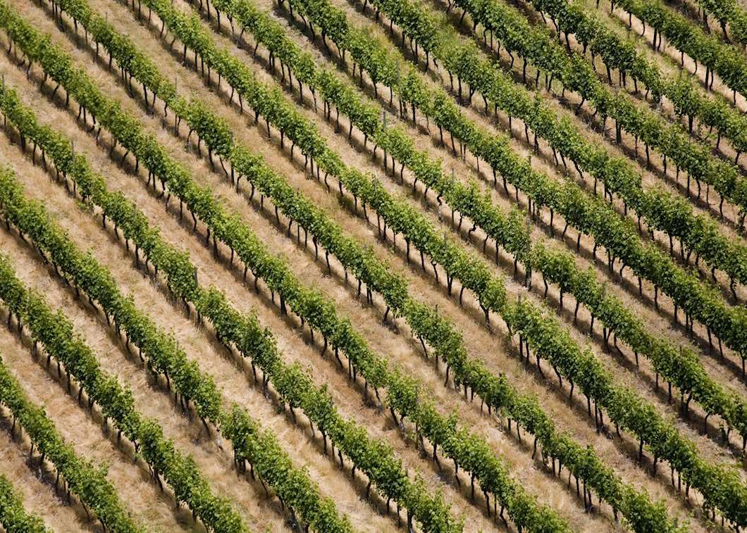 Visit Colchagua Valley, Chile Default Theme | Audley Travel UK