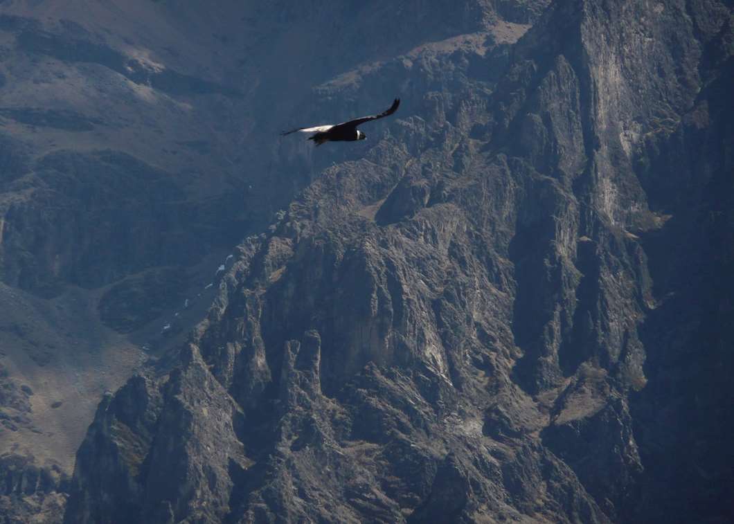 Climb Condors Cross, Peru | Audley Travel US