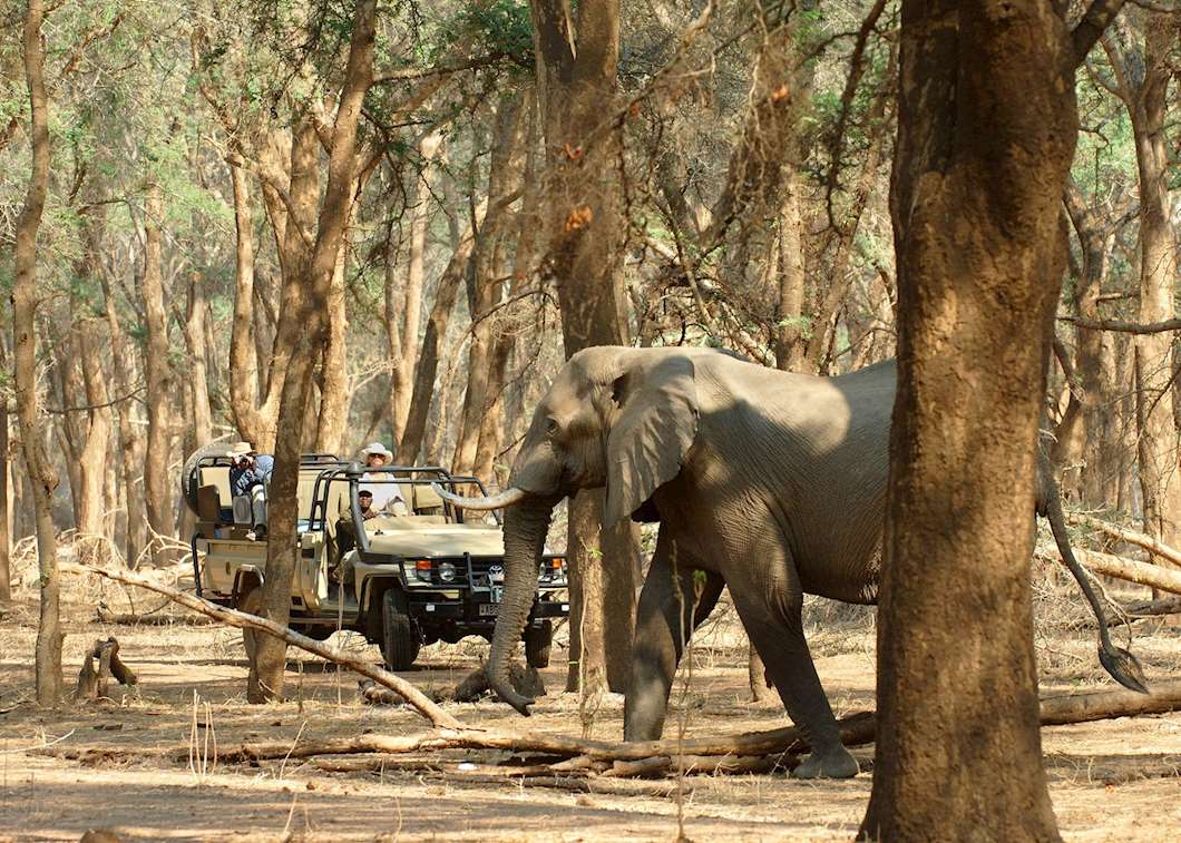 Old Mondoro Bush Camp | Audley Travel US