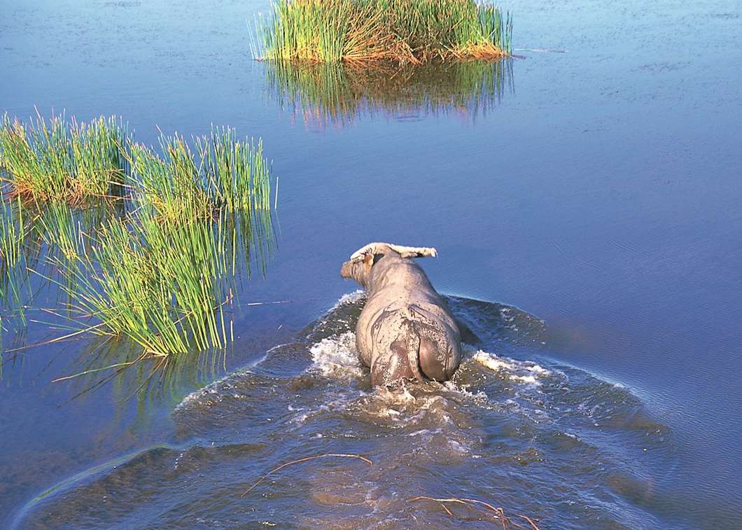 Visit Bullo River Station | Audley Travel US