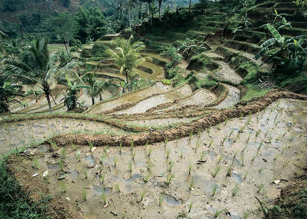 Visit Java, Indonesia | Tailor-Made Java Trips | Audley Travel