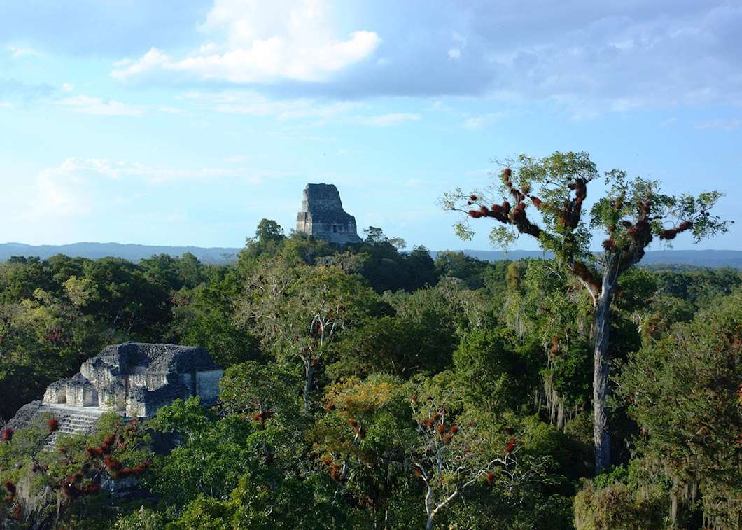 Tikal Excursion, Belize | Audley Travel US
