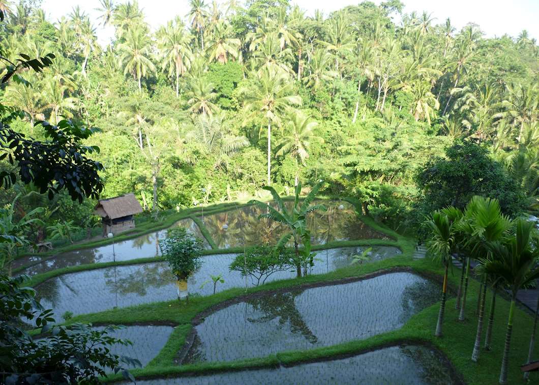 Komaneka at Bisma | Hotels in Ubud | Audley Travel US