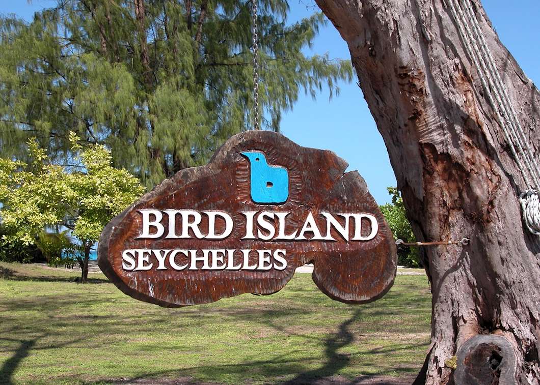 Visit Bird Island on a trip to The Seychelles | Audley Travel