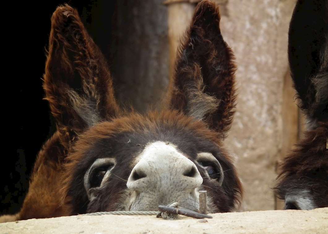 Visit Skoura, Morocco | Tailor-made Vacations | Audley Travel US