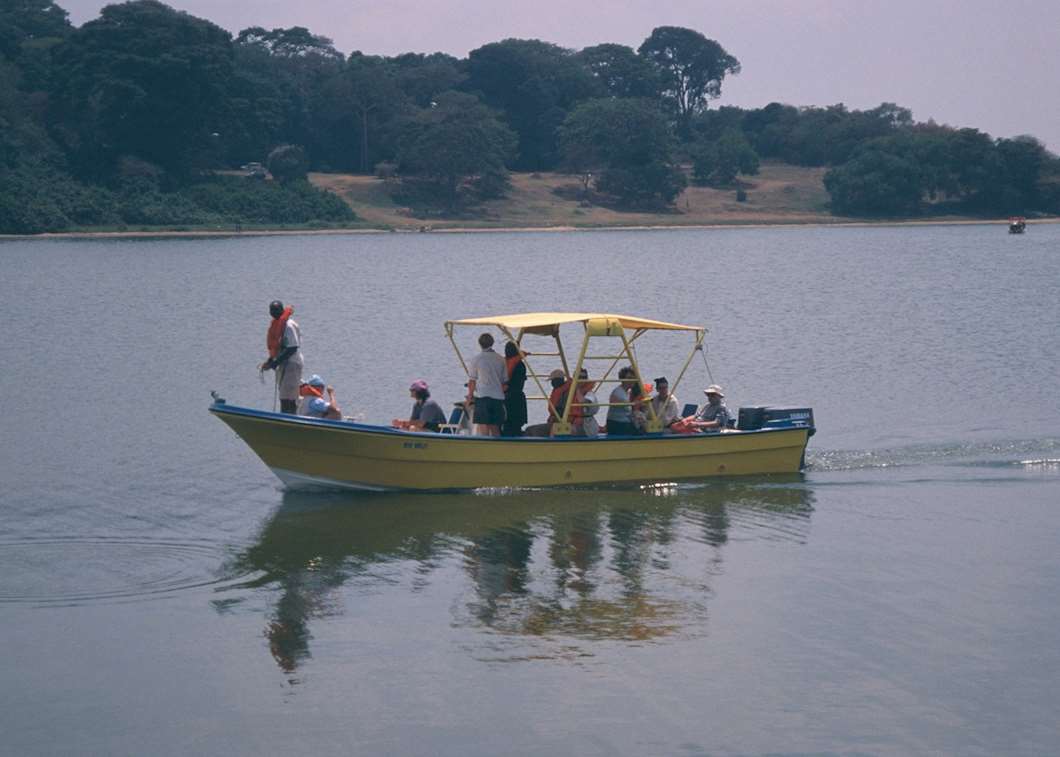 Ngamba Island Chimpanzee Sanctuary | Audley Travel UK