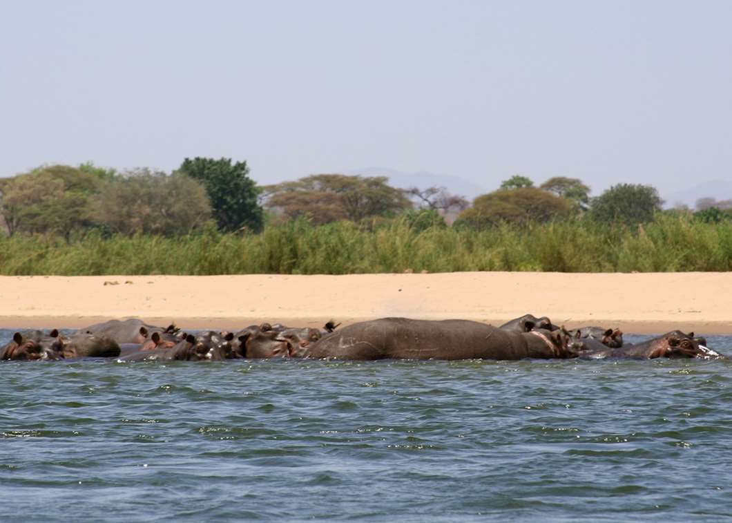 The Lower Zambezi National Park in Zambia | Audley Travel US