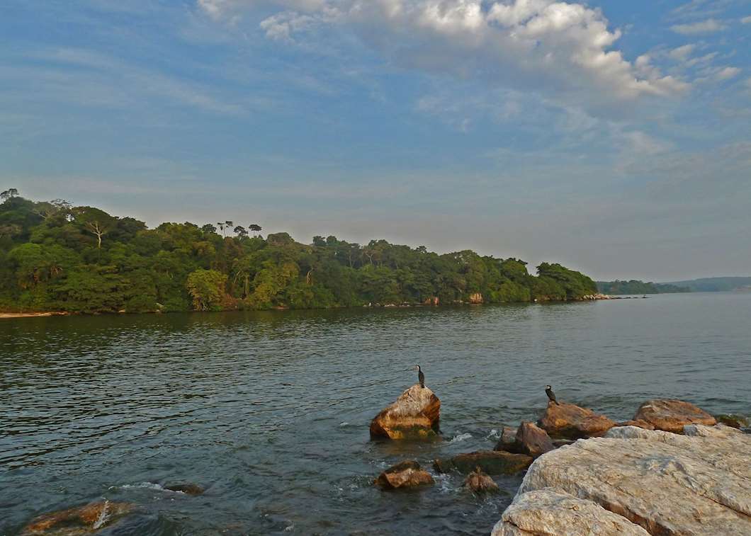 Rubondo Island Camp | Rubondo Island | Audley Travel US