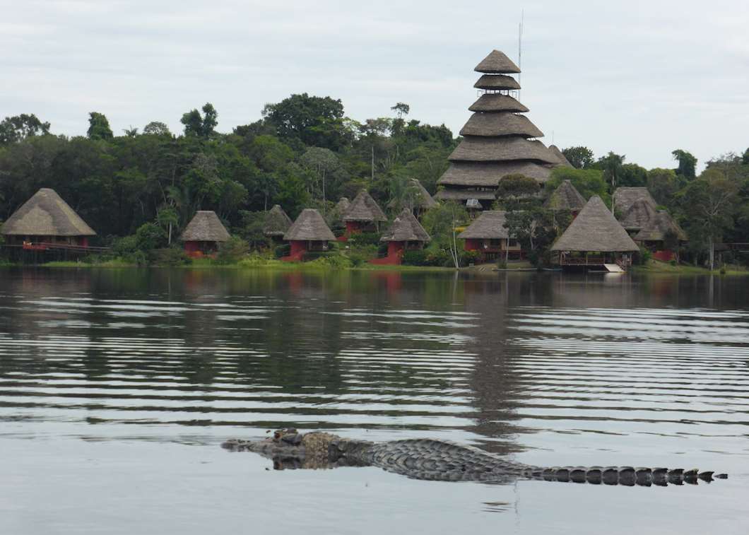 Napo Wildlife Center | Hotels in The Amazon | Audley Travel