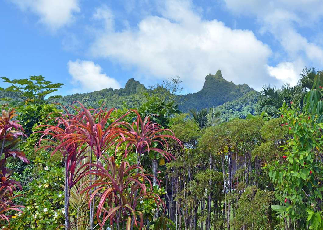 Visit Rarotonga in the Cook Islands | Audley Travel