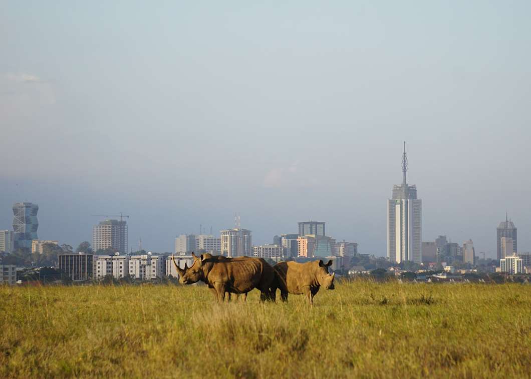 Visit Nairobi, Kenya | Tailor-made Nairobi Trips | Audley Travel UK