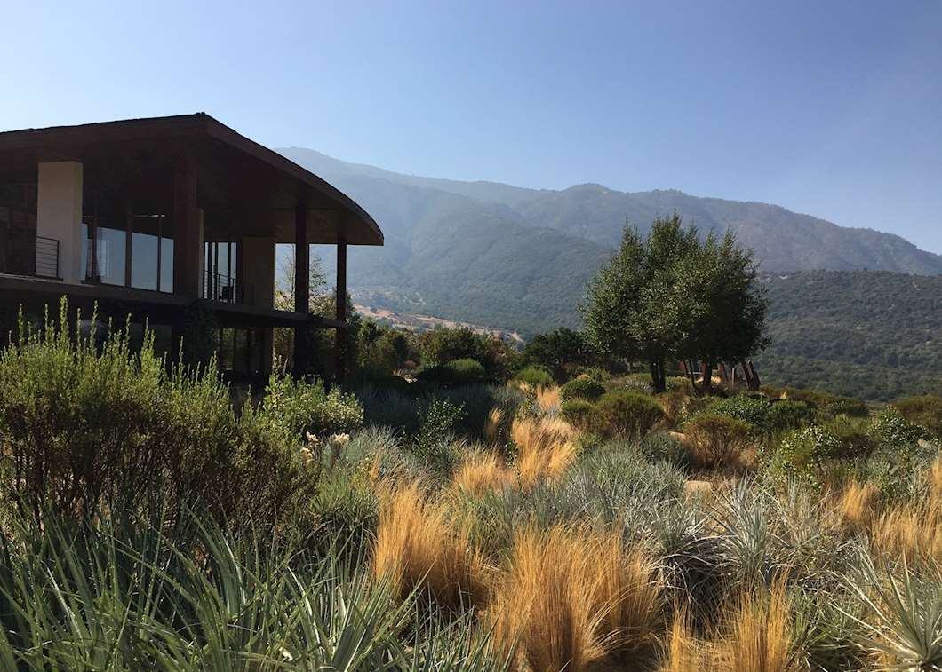Clos Apalta Residence | Colchagua Valley Hotels | Audley Travel US