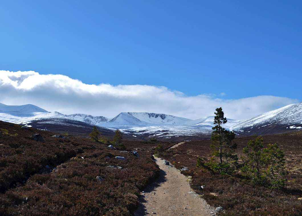 Explore Rothiemurchus Estate by Land Rover | Audley Travel US