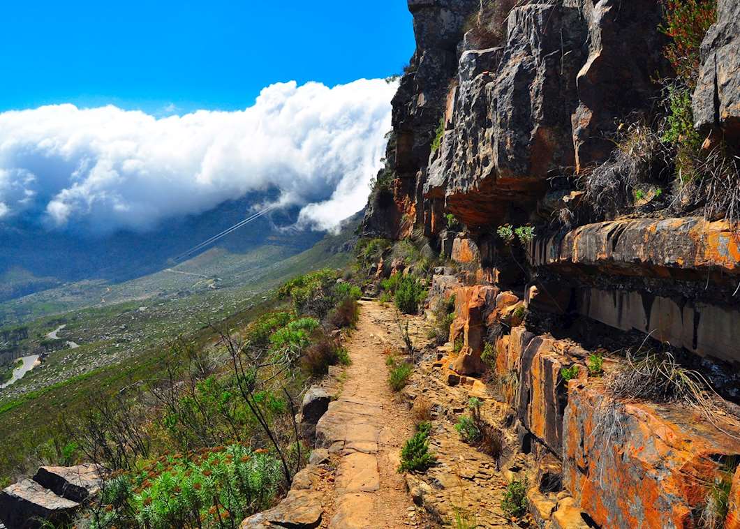 Table Mountain Tour, South Africa | Audley Travel US