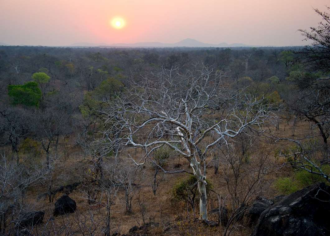 Visit Majete Wildlife Reserve, Malawi | Audley Travel UK