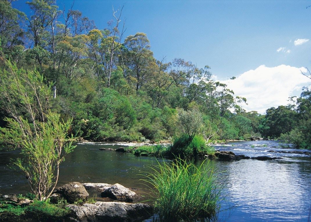Visit Murray River on a trip to Australia | Audley Travel US