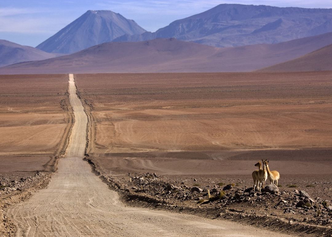 Visit San Pedro de Atacama in Chile | Audley Travel UK