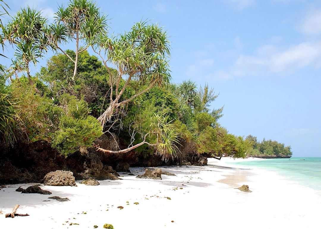 Visit Pemba, Mozambique | Tailor-made Trips | Audley Travel