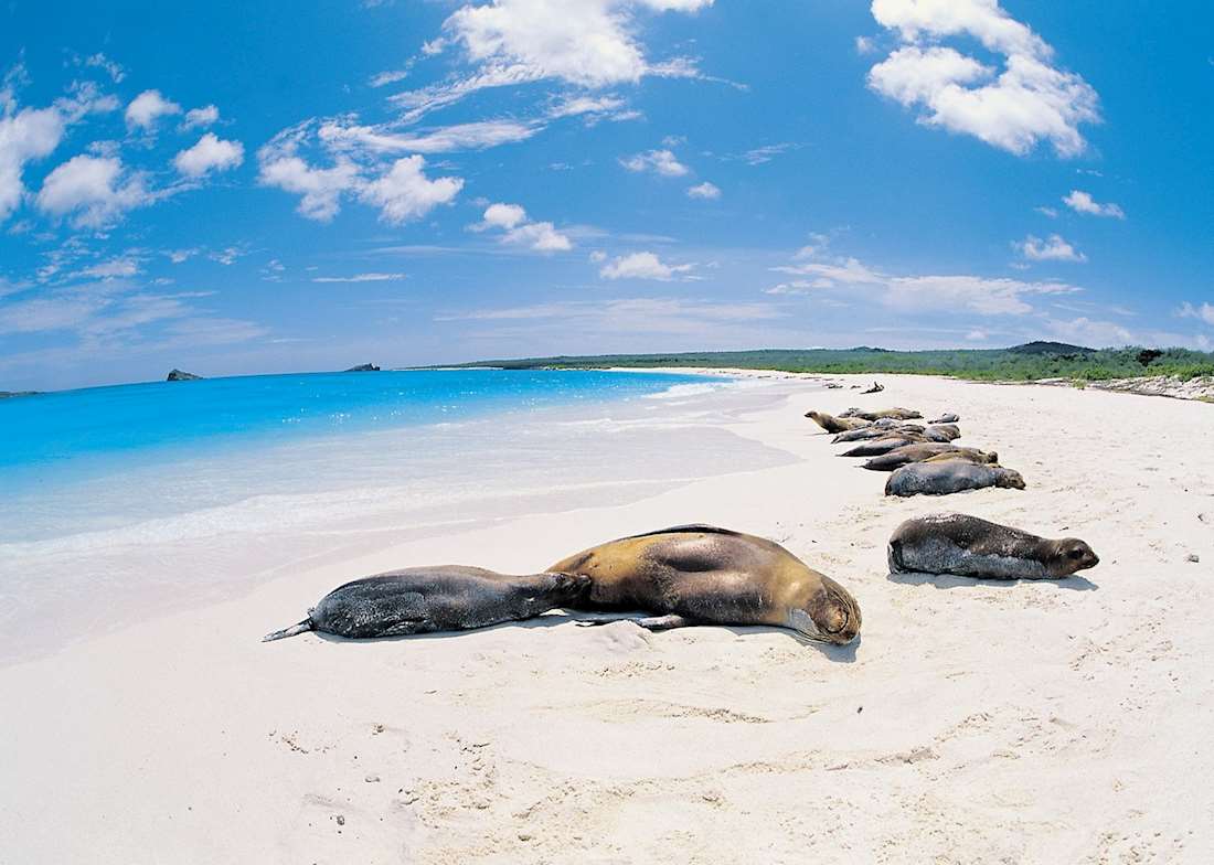 Coral II | Galapagos Cruises | Audley Travel UK