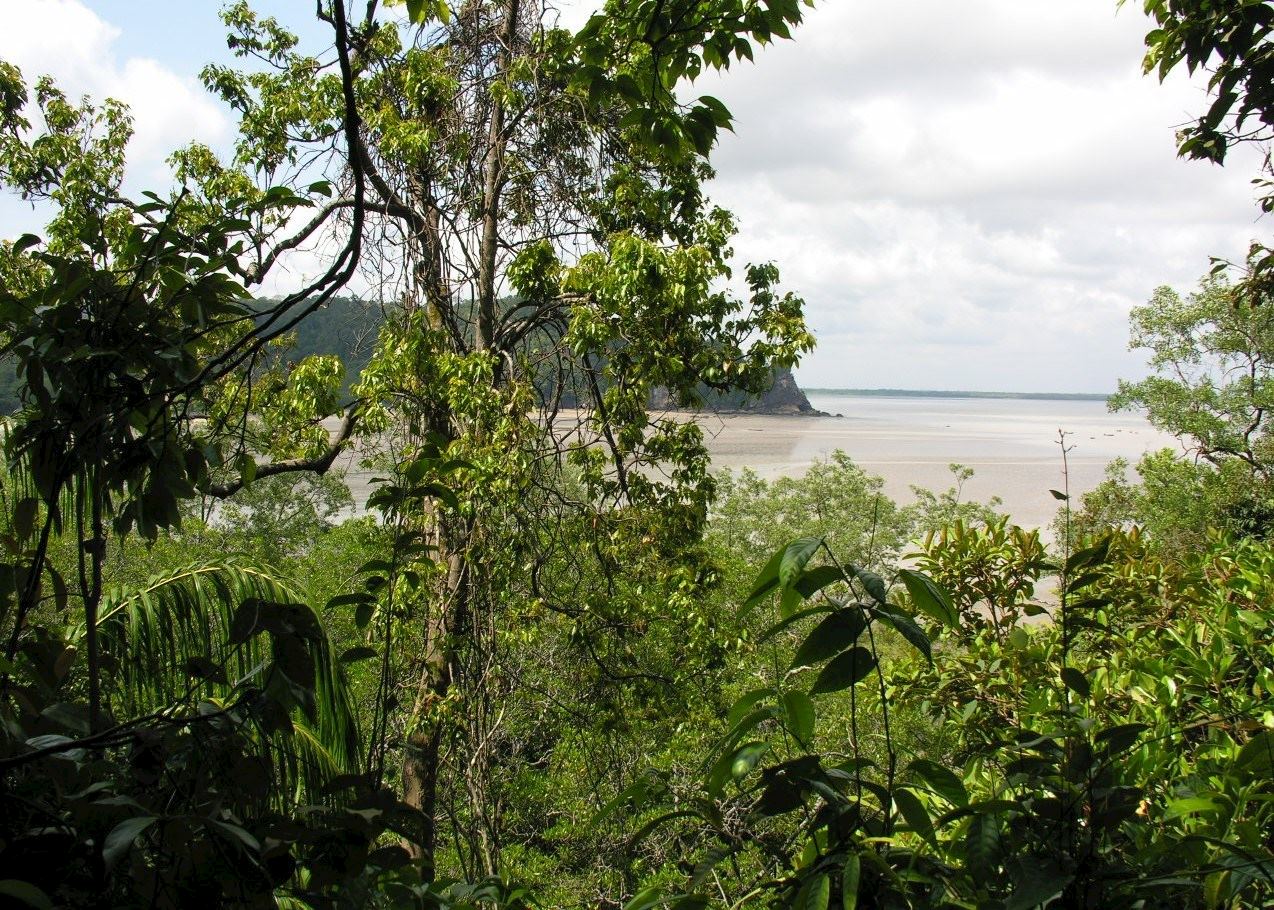 Visit Bako National Park, Borneo | Tailor-Made Trips | Audley Travel UK