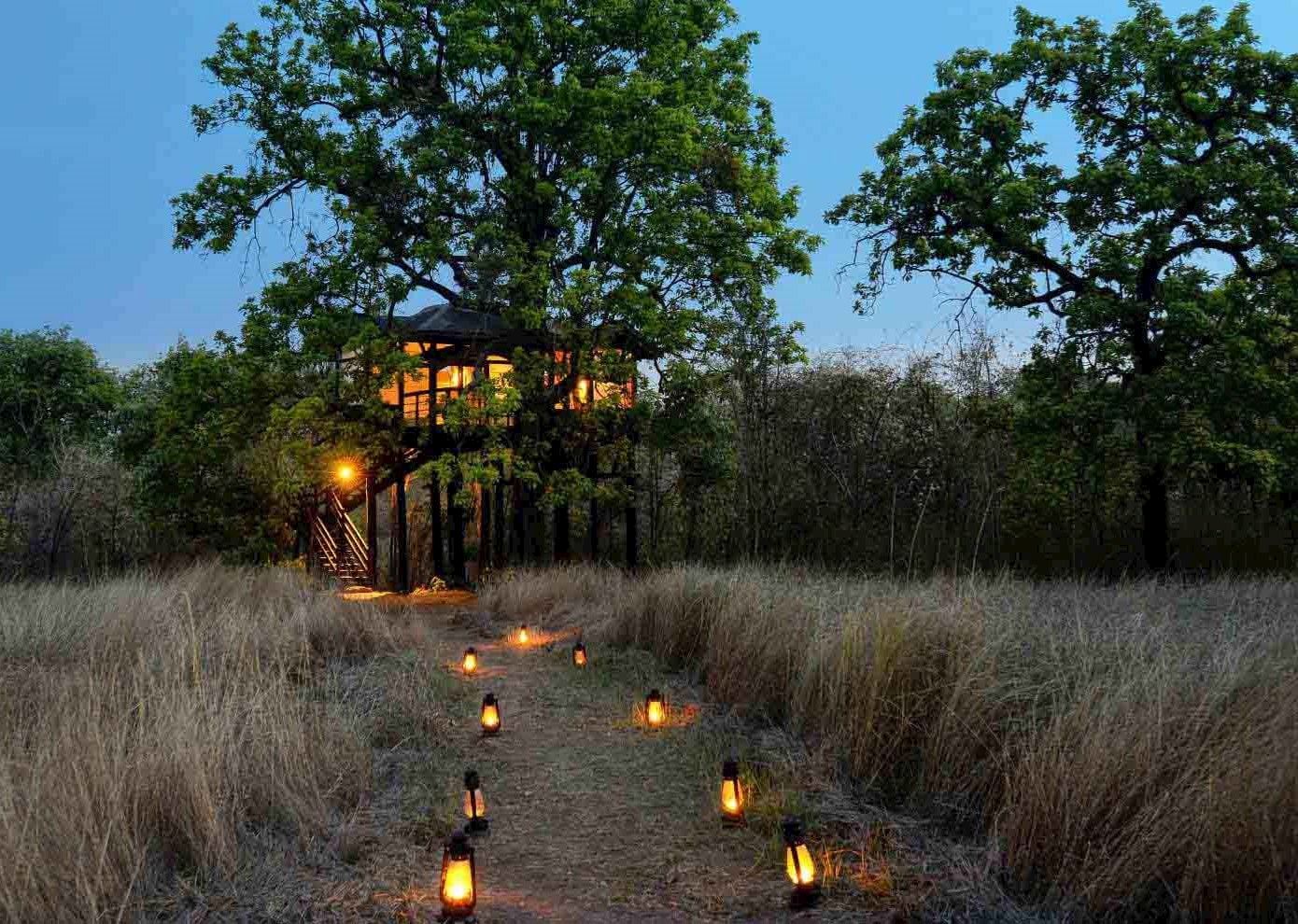 Pench Tree Lodge | Hotels in Pench Tiger Reserve | Audley Travel US