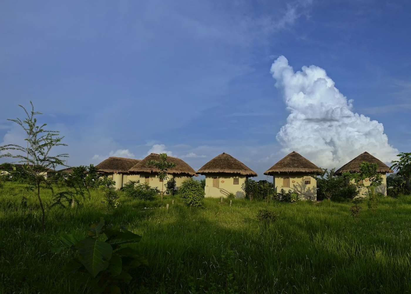 Barahi Jungle Lodge | Audley Travel UK
