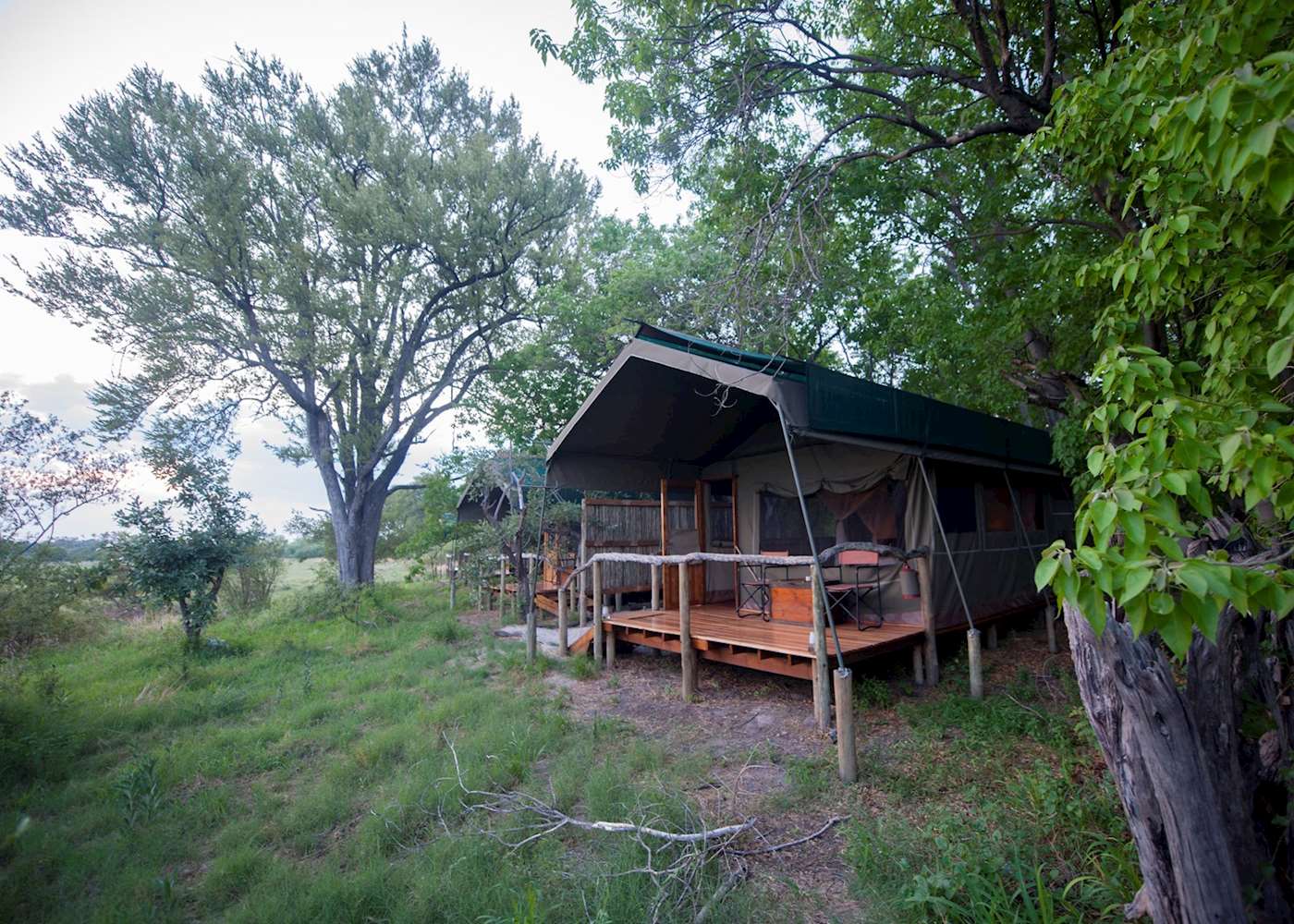 Sango Safari Camp | Hotels in Khwai Concession | Audley Travel UK