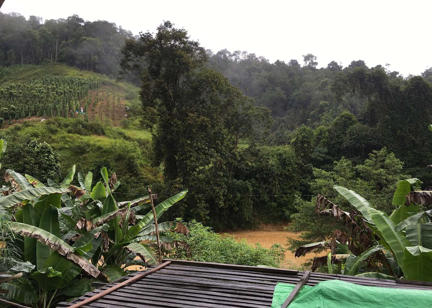 Lemanak Longhouse | Hotels in Batang Ai | Audley Travel UK