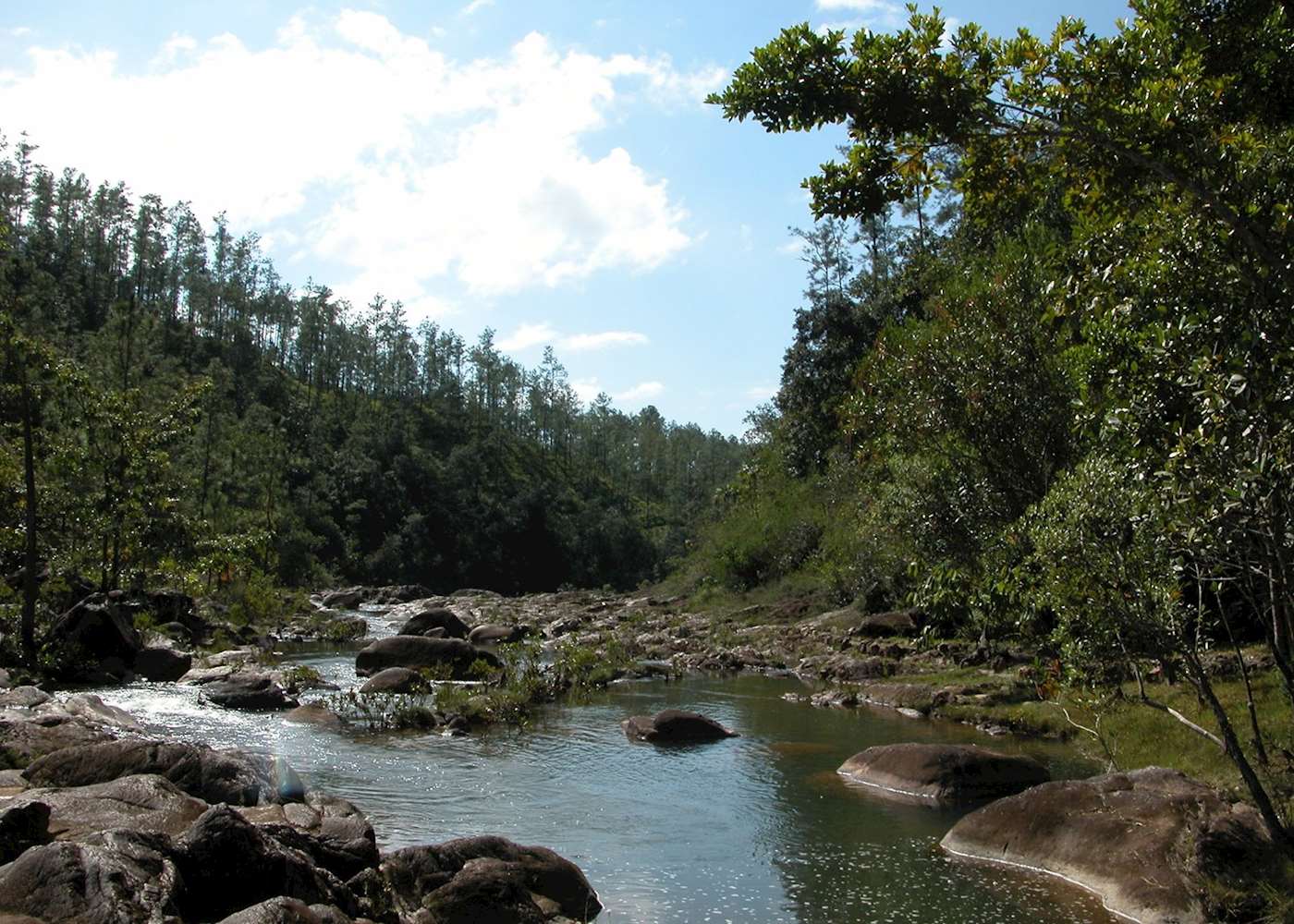 Visit Cayo District & Caracol in Belize | Audley Travel UK